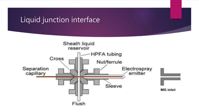 Capillary Electrophoresis-Mass Spectrometry | PPTX