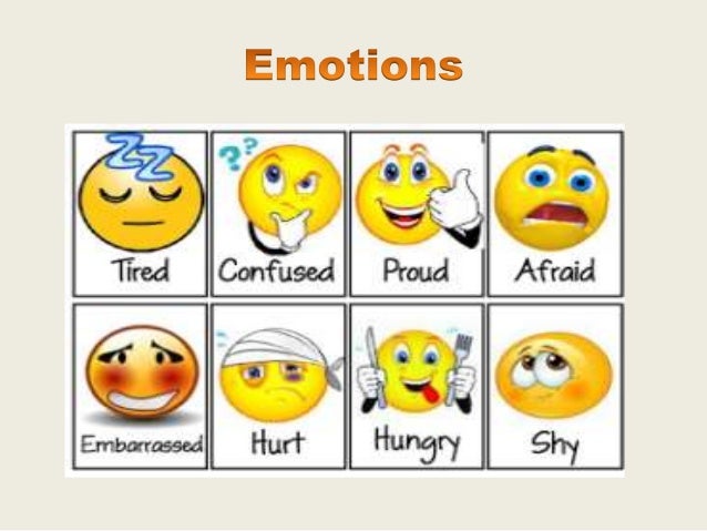 Physical & emotional feelings