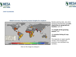 CROP MONITORING HILLARY | PPT
