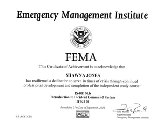 fema 3 | PDF