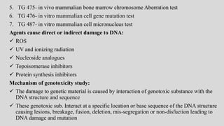 Genotoxicity_studies M pharmacy Pharmacology.pptx