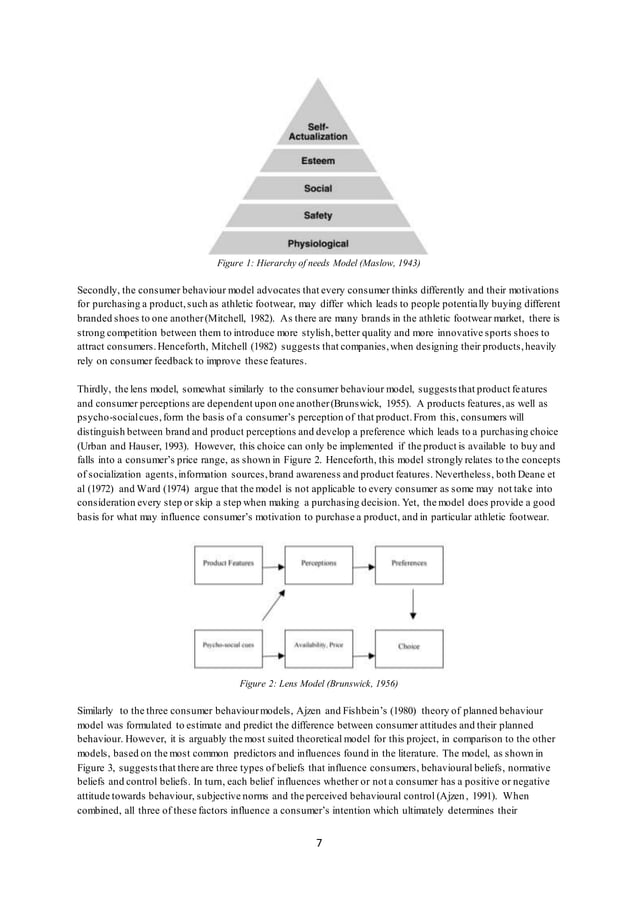 Final Year Dissertation | PDF