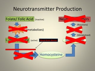 Capstone Presentation MTHFR | PPT