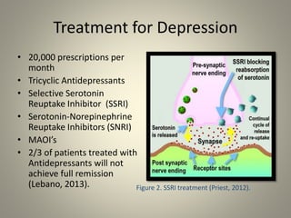 Capstone Presentation MTHFR | PPT