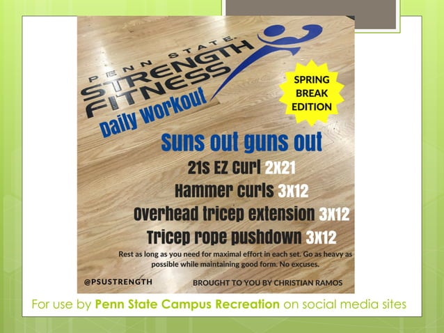 Graphic Samples | PDF