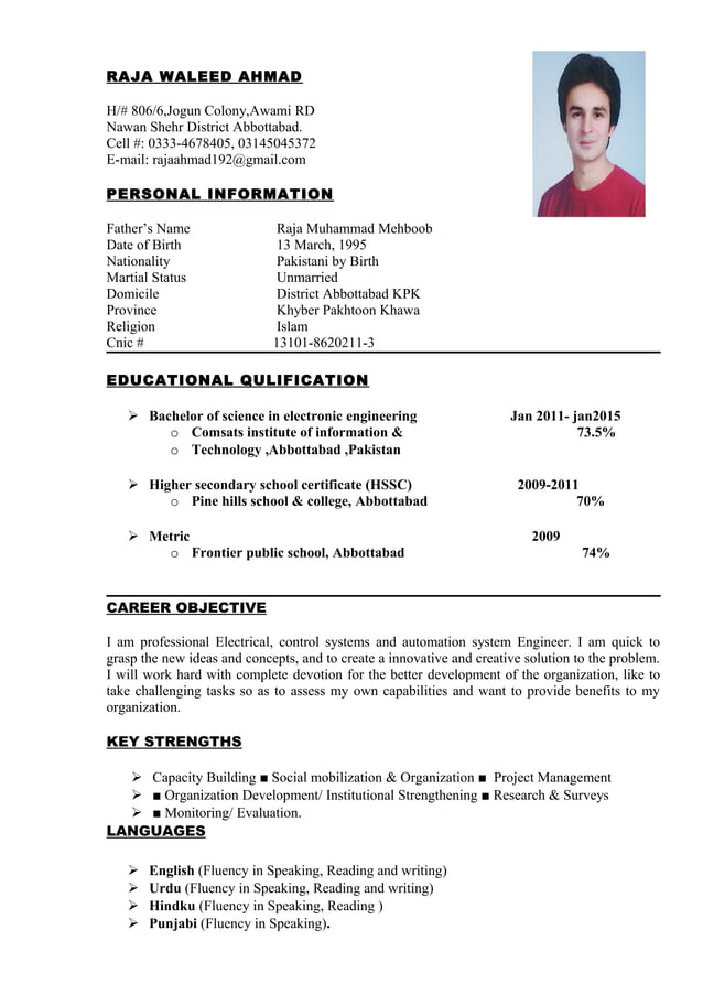 raja ahmad cv | PDF