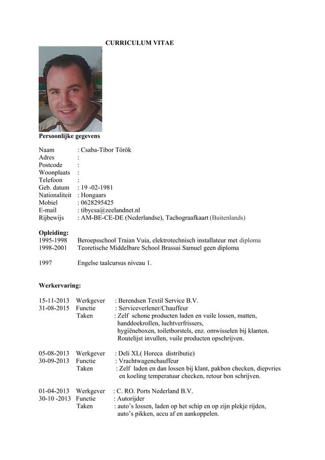CV csaby met foto | PDF