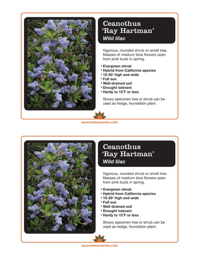 Ceanothus ray hartman label | PDF