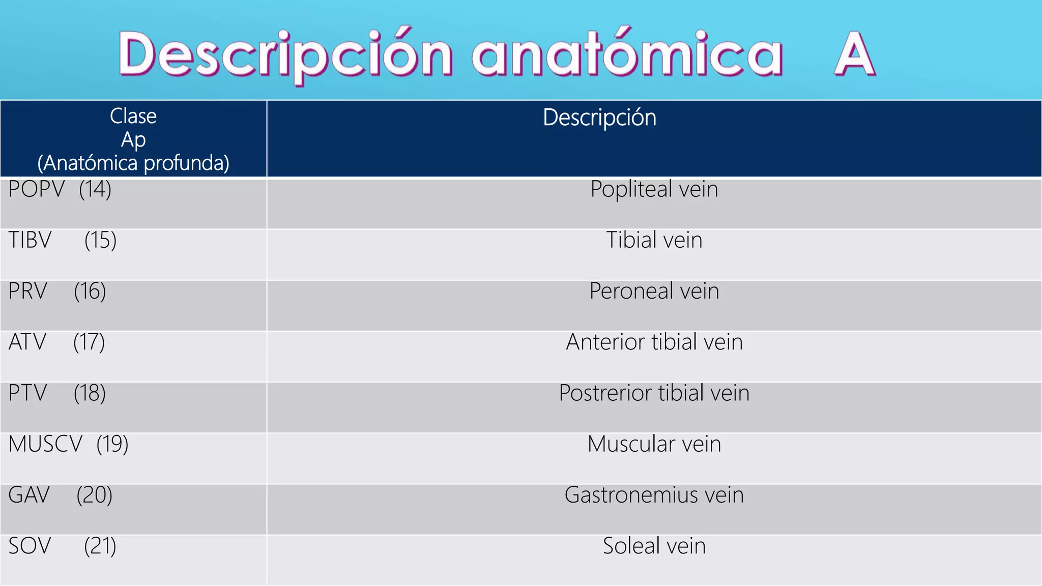 Clasificacion Ceap para varices | PPTX