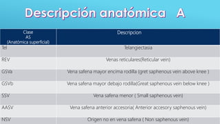 Clasificacion Ceap para varices | PPTX