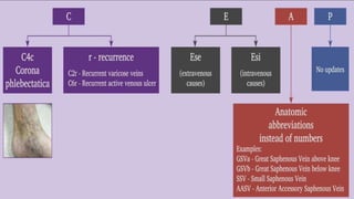 Clasificacion Ceap para varices | PPT