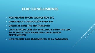 Clasificacion Ceap para varices | PPT