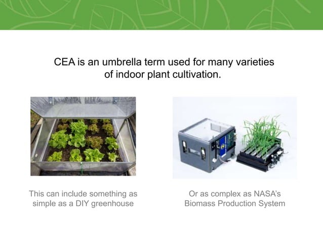 Controlled Environment Agriculture (CEA): More than Hydroponics | PPTX ...