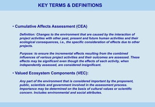CEA Workshop Abbrev Noviembre 06 (1).pptx