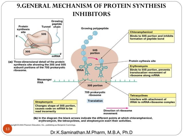 3. ANTIBIOTIC (PROTEIN SYNTHESIS INHIBITORS) | PPT | Biological ...