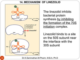3. ANTIBIOTIC (PROTEIN SYNTHESIS INHIBITORS) | PPT