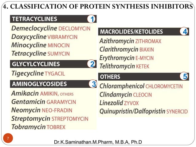 3. ANTIBIOTIC (PROTEIN SYNTHESIS INHIBITORS) | PPT | Biological ...