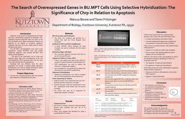 Poster presentation Final | PPT
