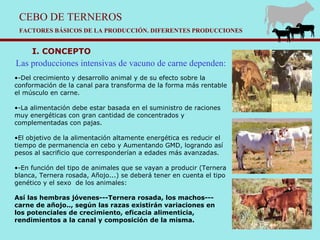 Cebo de terneros_vet | PPT