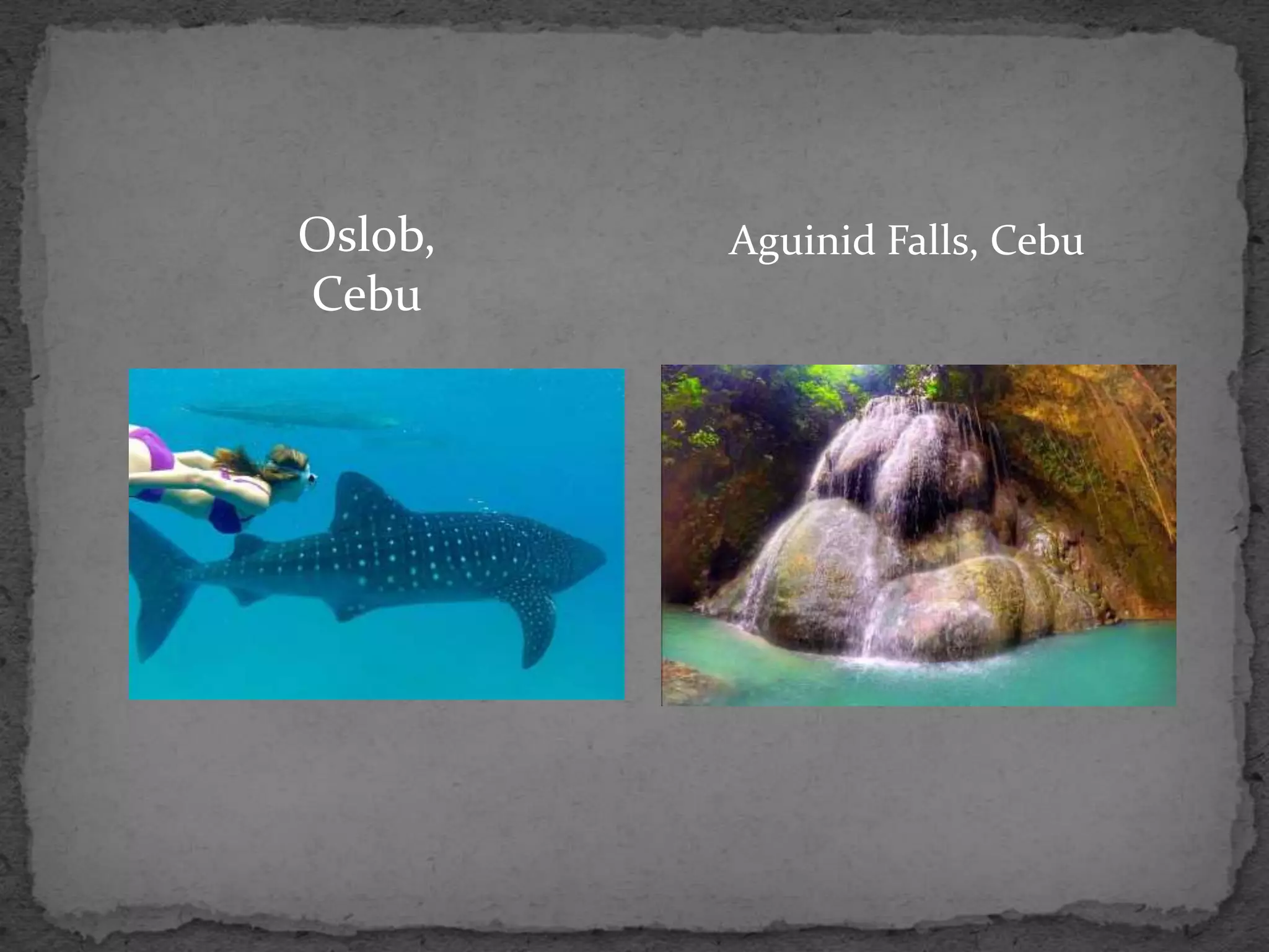 Cebu Destination | PPTX