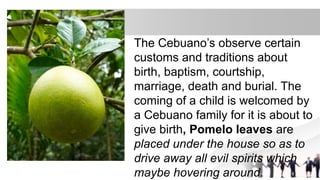 Cebuano Tribe: Philippine Indigenous Community | PPTX