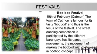 Cebuano Tribe: Philippine Indigenous Community | PPTX