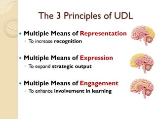 Universal Design for Learning (UDL): Initial Outcomes of a Leadership ...