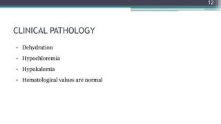 CECAL DILATATION.pptx