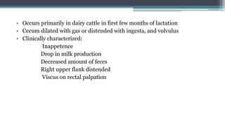 CECAL DILATATION.pptx