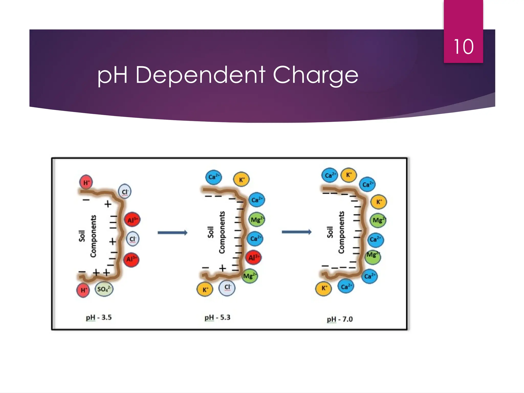 Cation and anion exchange capacity notes soil | PPTX | Chemistry | Science