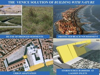 Cecconi the venice project | PPT