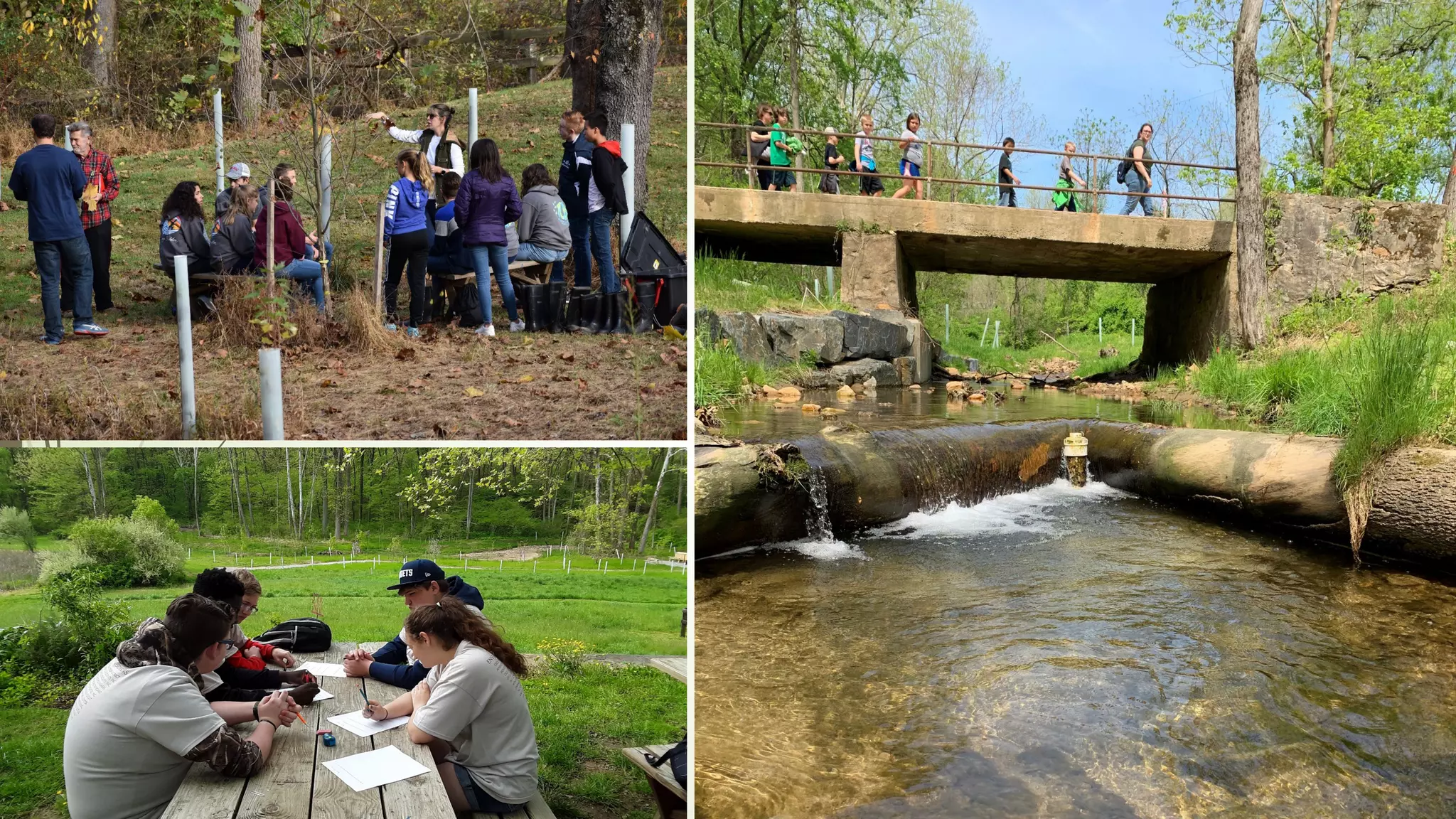 Cecil Soil Conservation District - Pathways to Water Quality | PPT