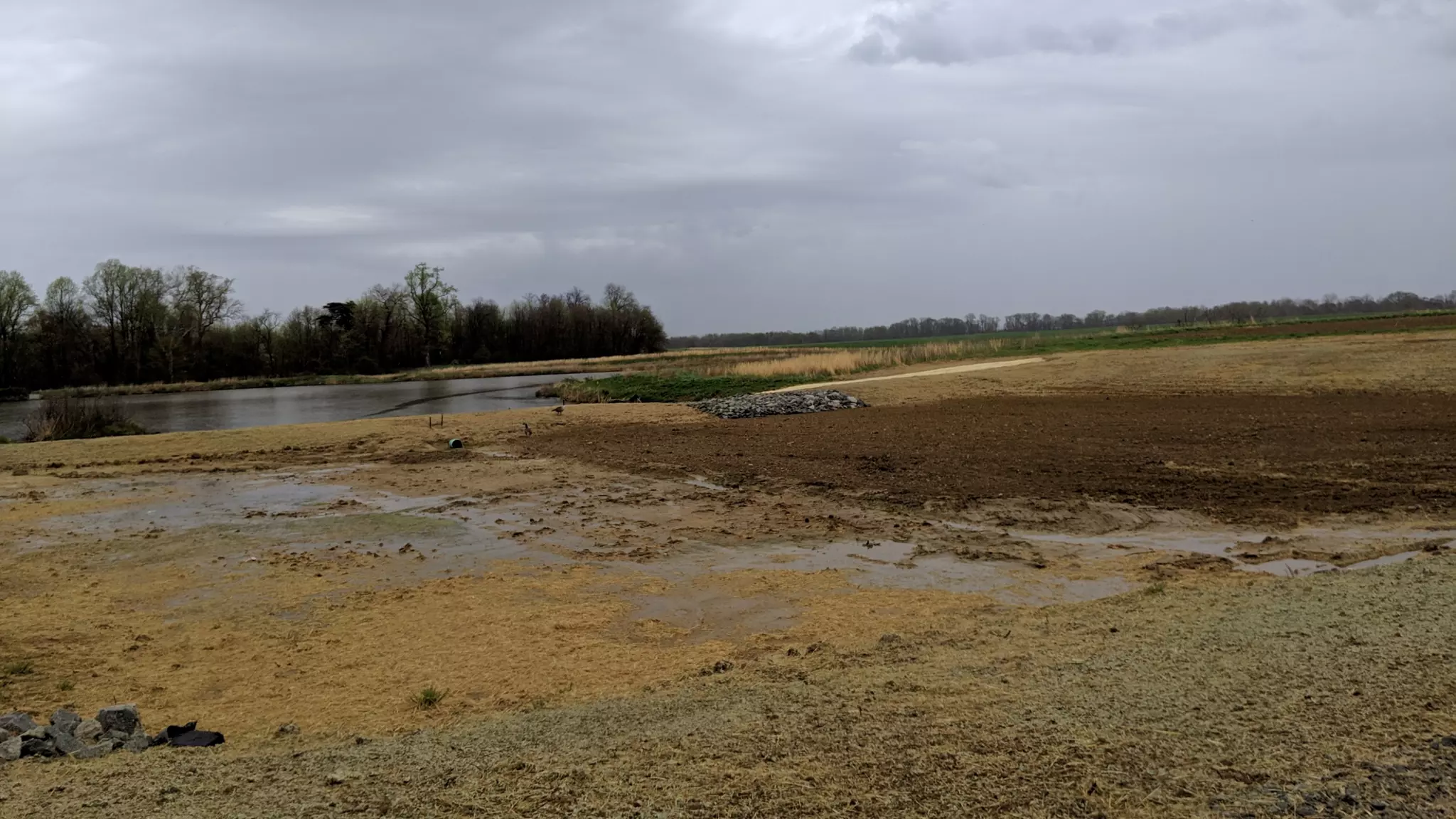 Cecil Soil Conservation District - Pathways to Water Quality | PPT