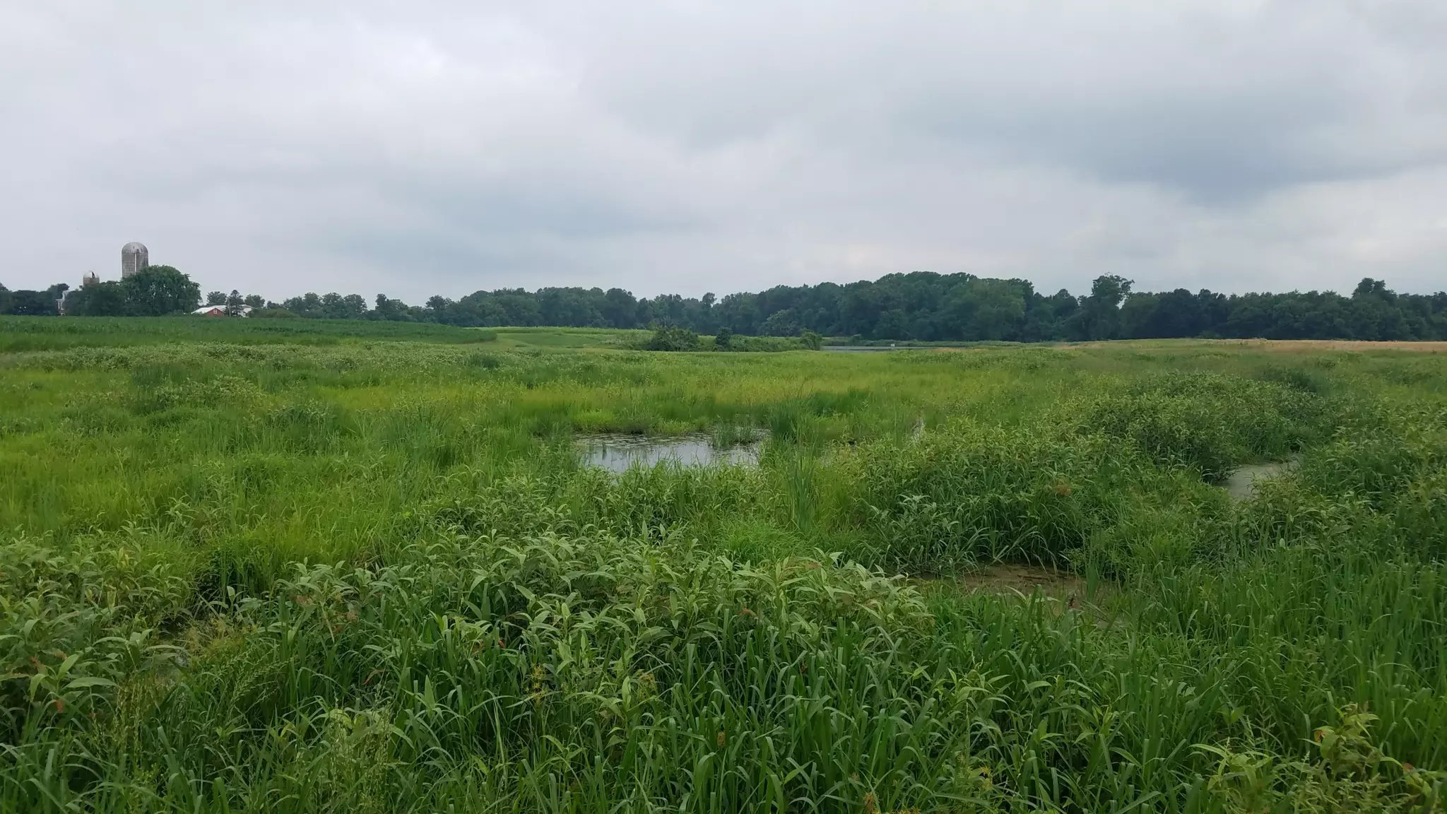 Cecil Soil Conservation District - Pathways to Water Quality | PPT