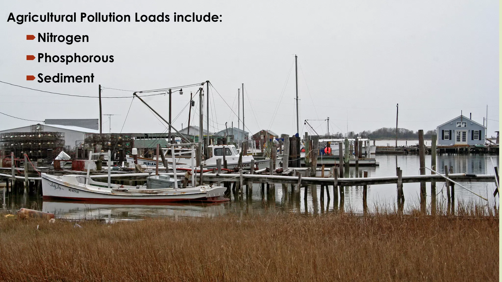 Cecil Soil Conservation District - Pathways to Water Quality | PPT