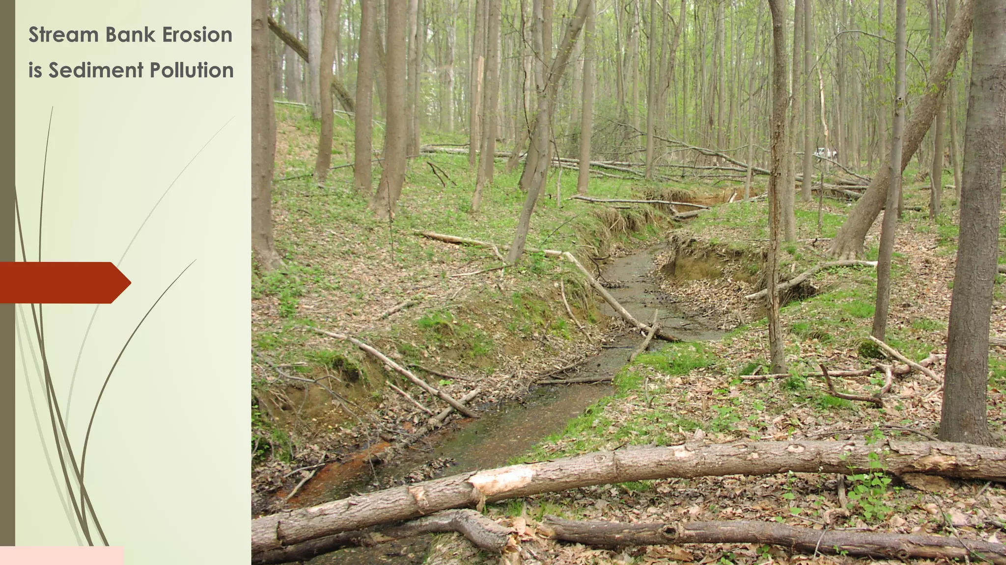 Cecil Soil Conservation District - Pathways to Water Quality | PPT