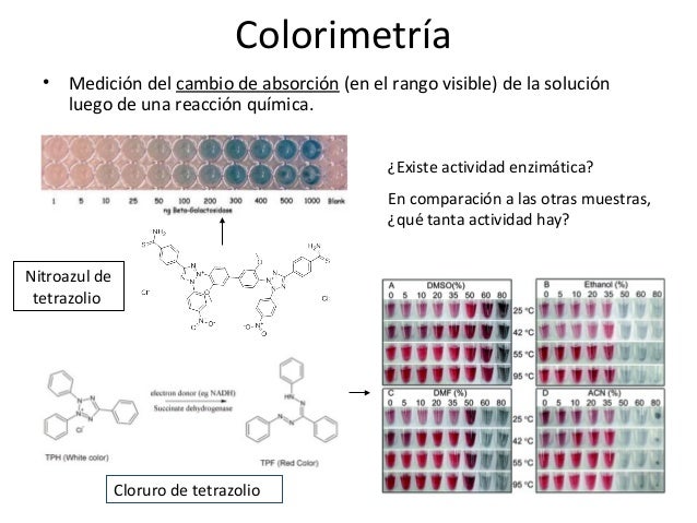 Métodos de Análisis Contínuos de la Actividad Enzimática