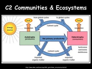 C ecology & conservation syllabus statements | PPT