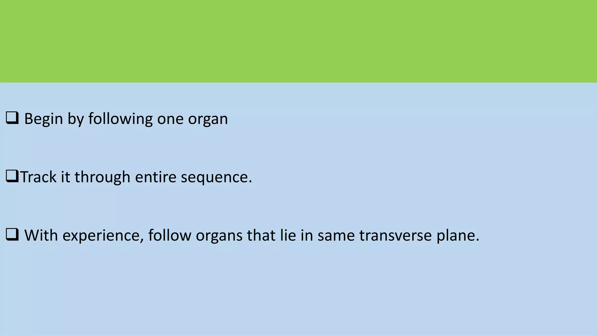Abdominal CT scan, Triphasic CT scan, Abdominal Anatomy and ...