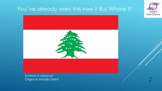Cedars of lebanon | PPTX