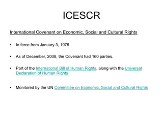 CEDAW and ICESGR presentation for Amnesty International | PPT | Debated ...