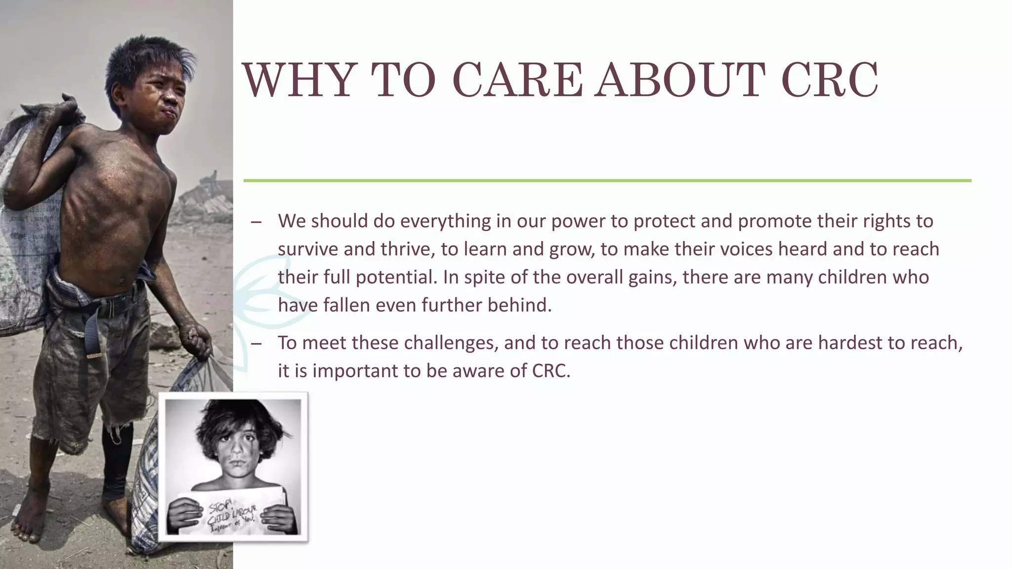 CEDAW and CRC | PPTX