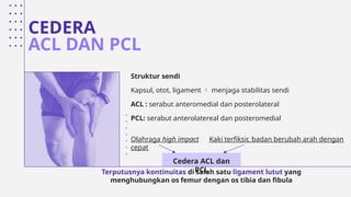 acl and pcl injuries in presentation.pptx