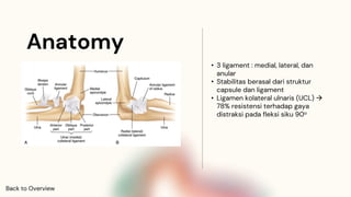 Elbow Injury and Rehabilitation in Sports Setting | PPT