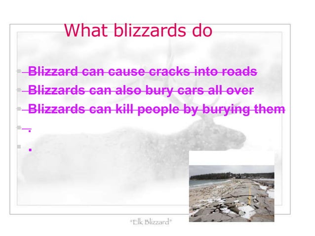 Blizzards | PPT
