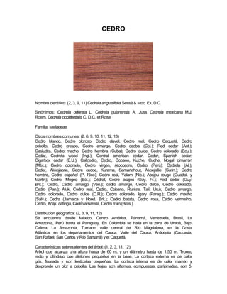 Cedro | PDF