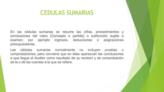 CEDULAS SUMARIAS Y ANALITICAS.pptx