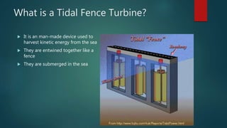 tidal presentation | PPTX