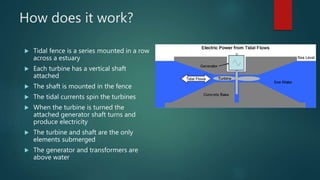 tidal presentation | PPTX