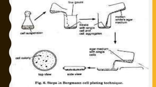 Cell suspension | PPTX